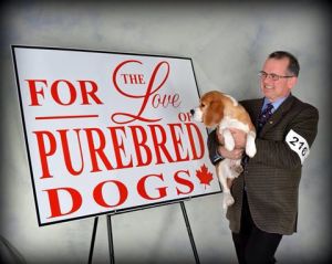 Our Purebred Dog Blog | For the Love of Purebred Dogs