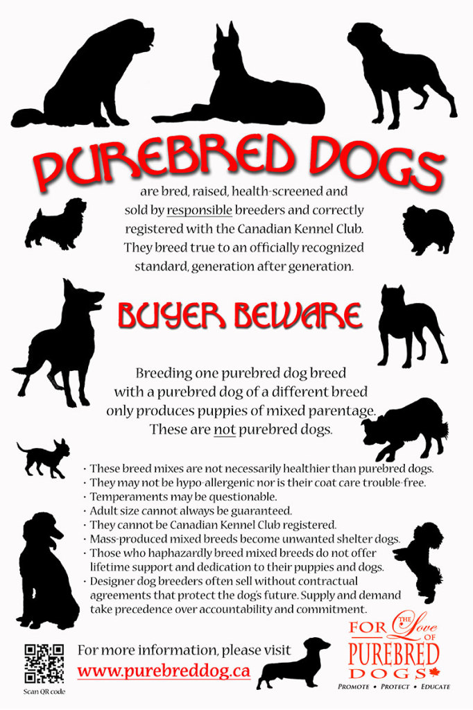 Our Purebred Dog Blog | For the Love of Purebred Dogs